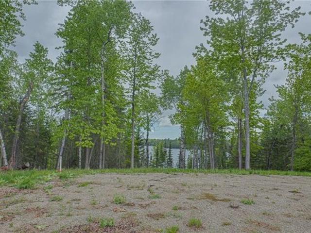 53550 Little Bear Trl, Bigfork, MN 56628