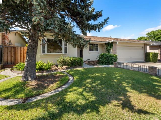 5359 Pecan Blossom Dr