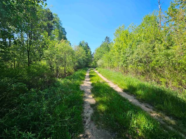 5350 Cranberry Lake Road