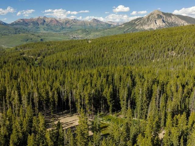 5350 Wildcat Trl, Crested Butte, CO 81224