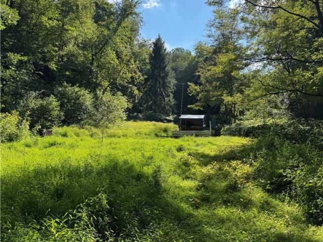 53520 Trough Run Road