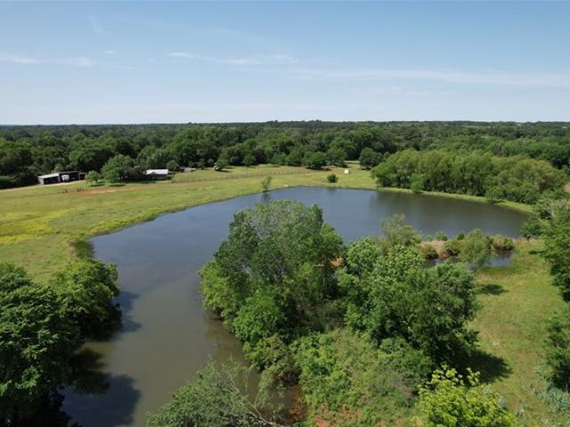 535 County Road 1710, Grapeland, TX 75844