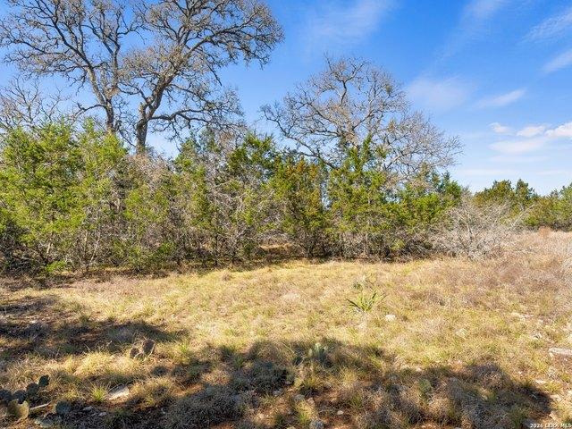 535 Left Fork Pl Lot 2023, Spring Branch, TX 78070