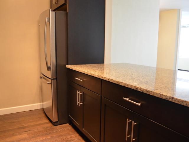 535 n michigan avenue # 1316