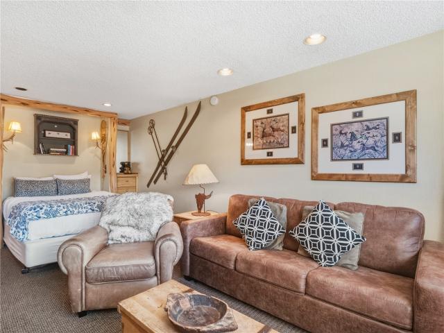 535 S Park Ave, Unit 214, Breckenridge, CO 80424 | MLS #S1065