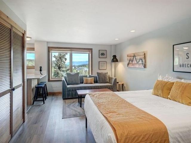 535 S Park Ave Unit 317, Breckenridge, CO 80424