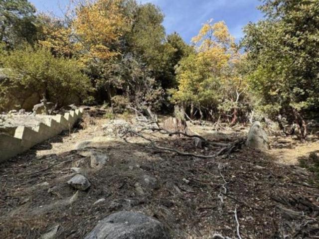 53642 Jeffrey Pine Court