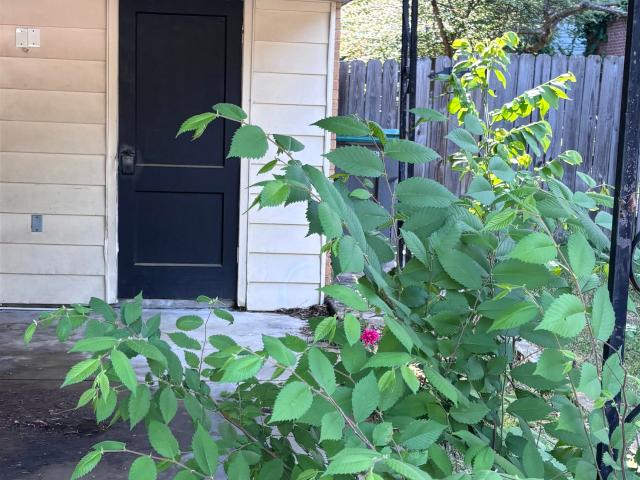 5360 haleville rd