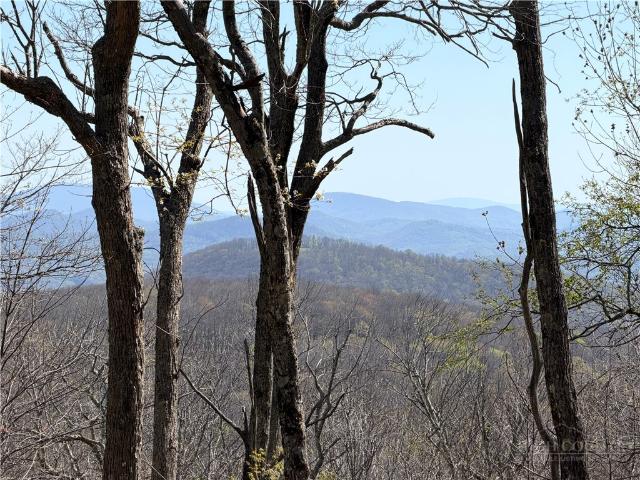 536 Boone Ridge Lane
