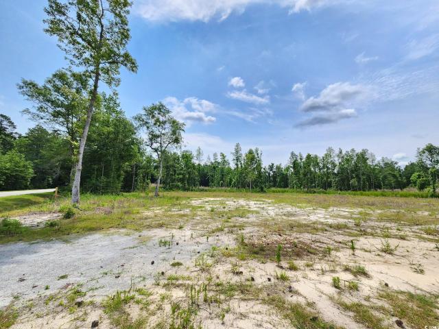 5375 Long Branch Swamp Rd