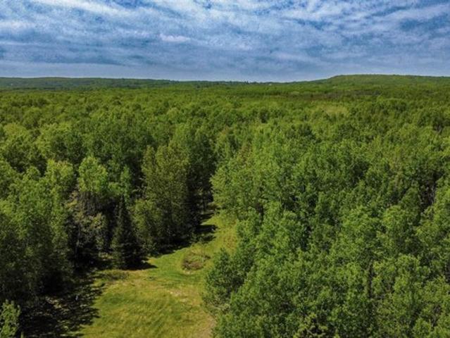 5377 McQuade Rd, Duluth, MN 55804