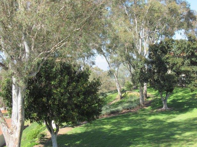 5370 Punta Alta Unit 2A, Laguna Woods, CA 92637