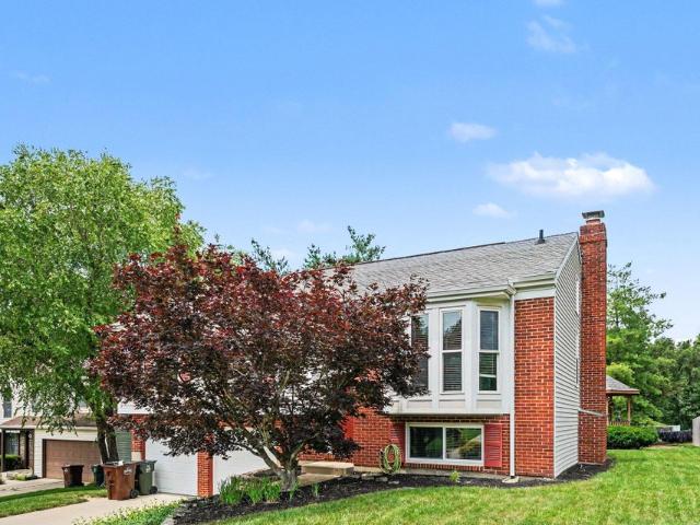 5370 Shadow Hill Court