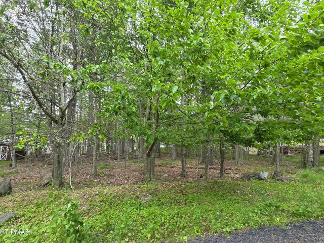 537 Horseshoe Bend