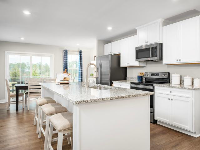 537 Nemesia Drive
