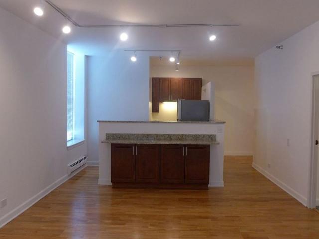 537 S Dearborn Terminals Building 2 Bedroom Apartment for Rent at 537 S Dearborn St, Chicago, IL 60605 Loop