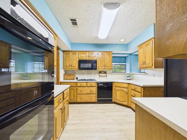 537 Sapling Way