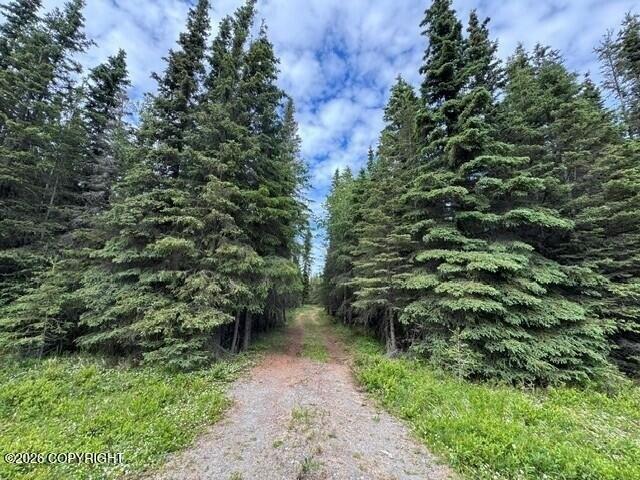 53880 Acys Ave, Kasilof, AK 99610
