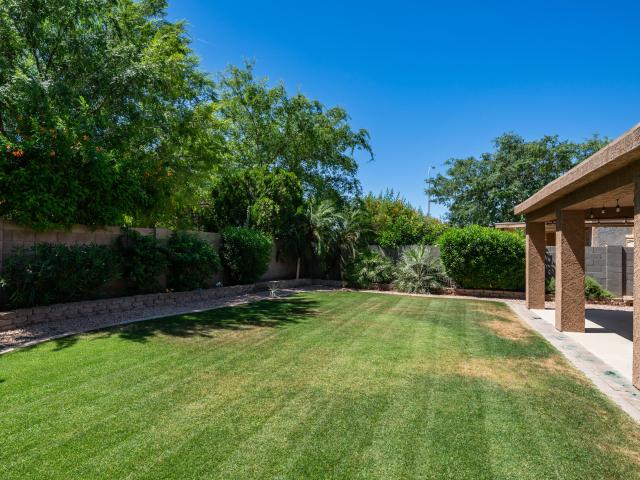 5381 W Folley St, Chandler, AZ 85226 | MLS #7016 | Compass
