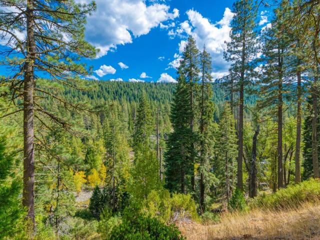 5382 Main St, Johnsville, CA 96103 | MLS #20251