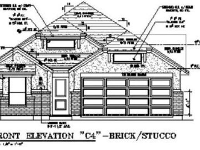 538 Desert Cactus