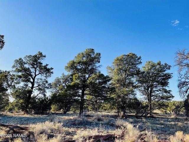 5390 N Windywalk Way, Williams, AZ 86046