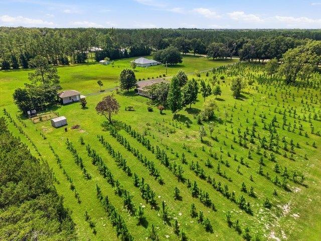 5391 NW 137th Ln, Chiefland, FL 32626