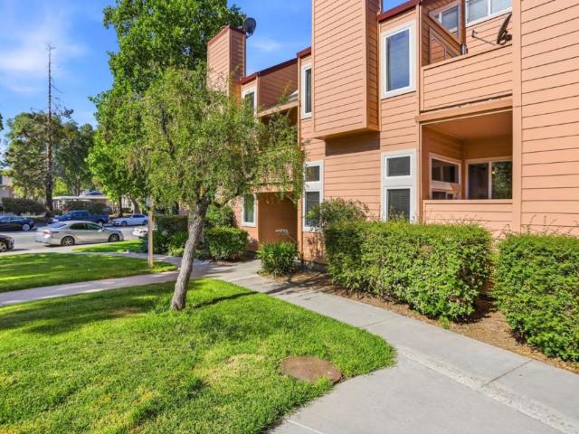 5392 Borneo Circle