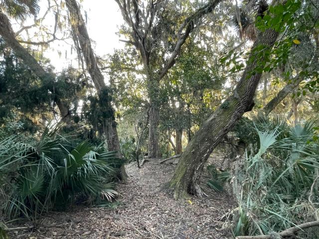539 Oristo Ridge