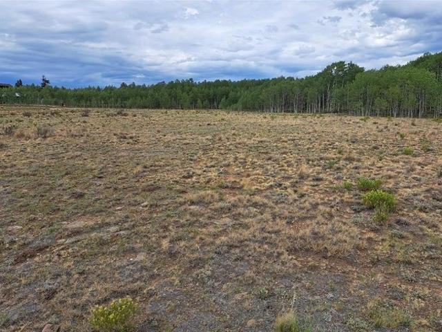 539 Mustang Trl Lot 169, Como, CO 80432