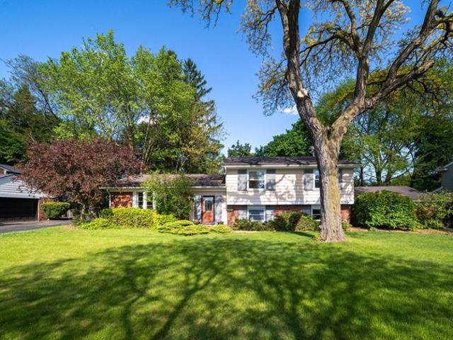 539 S Sheldon Rd, Plymouth, MI 48170
