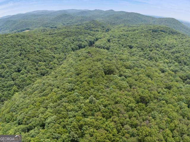 57.64 AC Mountain Ash Road