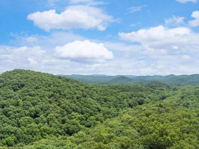 57.64 Ac Mountain Ash Rd, Ellijay, GA 30536