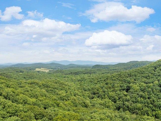 57.64 Ac Mountain Ash Rd Lot 12, Ellijay, GA 30536