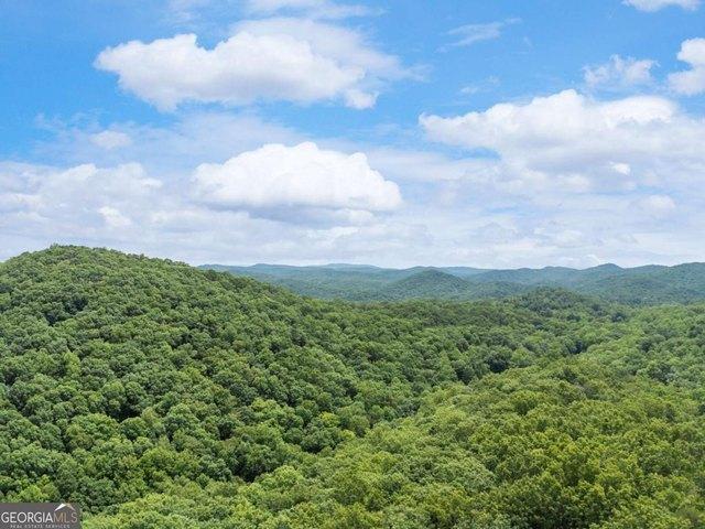 57 Ac Mountain Ash Rd, Ellijay, GA 30536