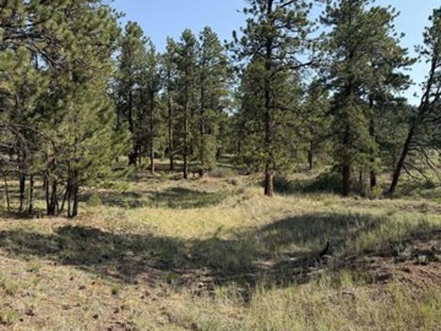 57 Democrat Cir, Westcliffe, CO 81252