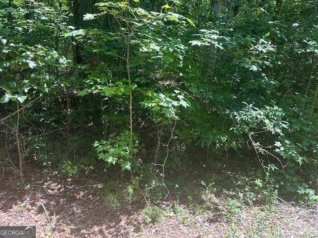57 Dogwood Trail