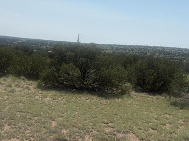 57 Navajo Dr, Concho, AZ 85924