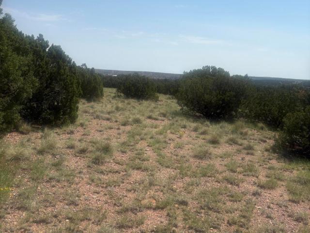 57 Navajo Drive