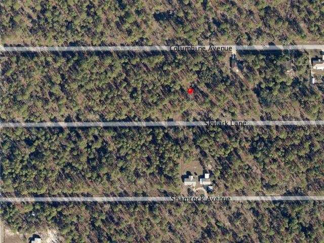 57 NW Skylark St, Dunnellon, FL 34431 | MLS #OM693611