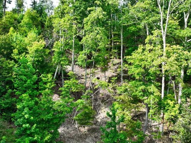 57 Ridge Top Rd, Stewart, TN 37175