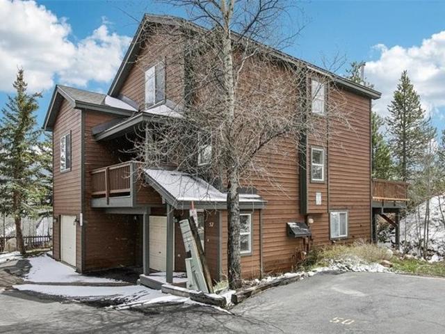 57 Salt Lick Pl, Silverthorne, CO 80498