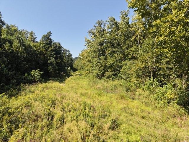 5409 State Highway 599, Jeffersonville, KY 40337