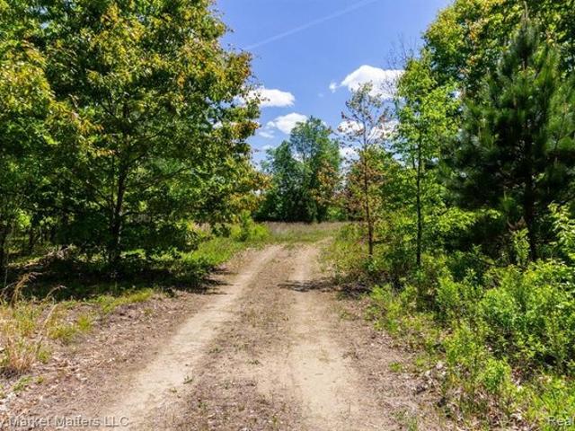 5400 Snow Den Trl, Marathon Township, MI 48421