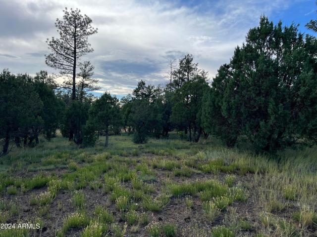 5402 Red Squirrel Ln, Unit 27, Lakeside, AZ 85929 | MLS #6732 | Compass