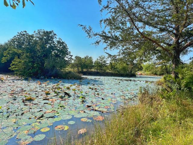 5403 Dry Creek