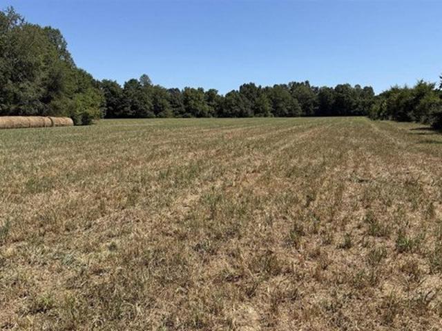 540 Becam Rogers Rd, Greensburg, KY 42743