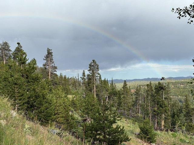 540 Elkridge Rd, Red Feather Lakes, CO 80545