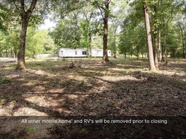 540 Oak Forest Dr, Shepherd, TX 77371
