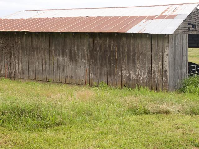 540 Reindeer Road